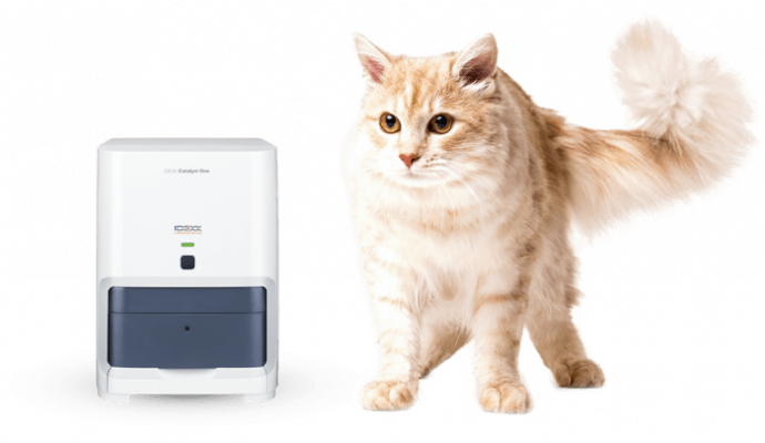 Catalyst One – MANPHARMA